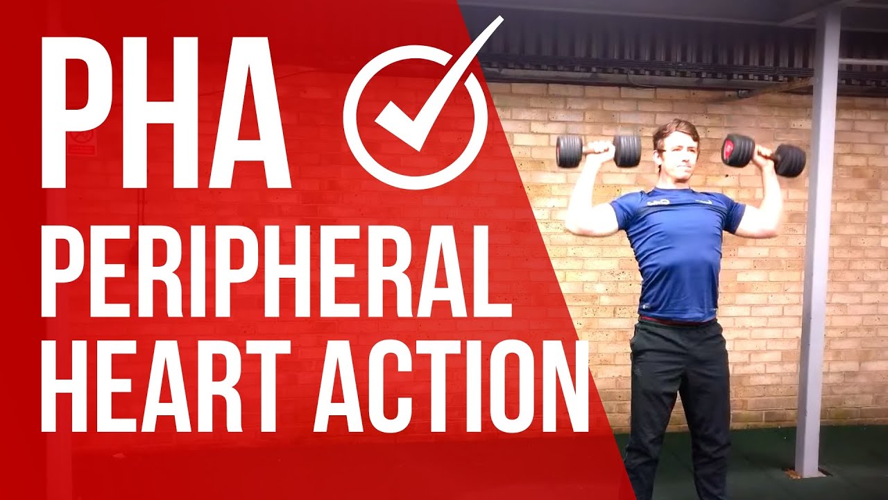 Peripheral Heart Action Training | PHA Circuit Fat Loss With Dumbbells ...