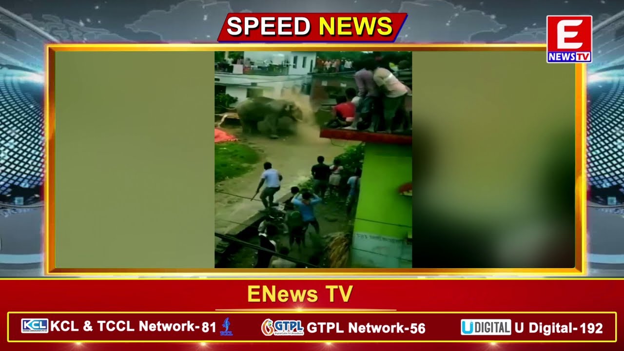 ENEWS TV (Speed News) 08-08-2024 - YouTube