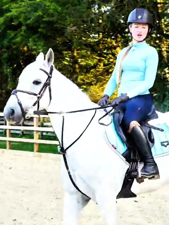 HARLOW RIDES BLUE FOR THE FIRST TIME! 🩵🎀 @HarlowLunaWhite #harlowandpopcorn #harlow #pony #edit ...