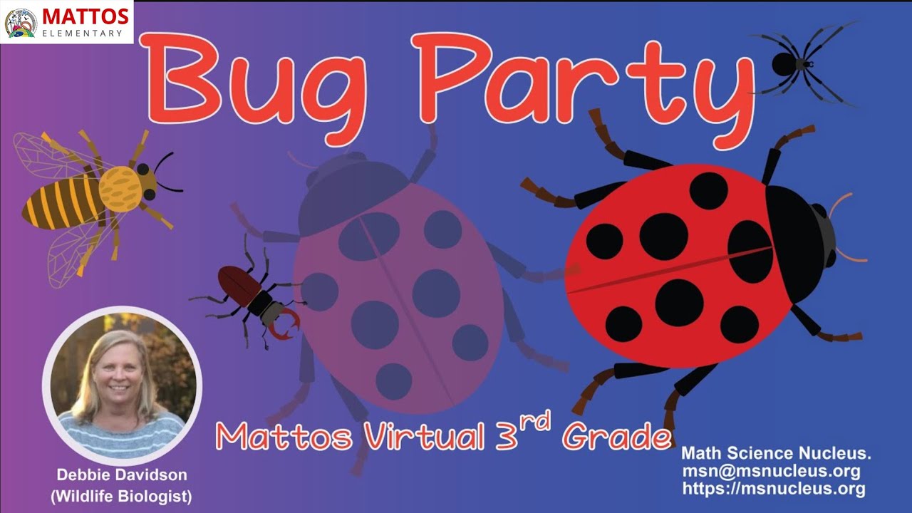 Mattos 3rd Life Cycle - Bug party - YouTube