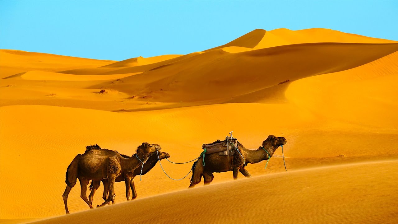 31 Minutes of Relaxing Desert Landscapes #relaxation #desert # ...