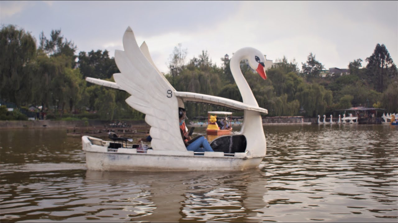 Burnham Park; Boating at the lake alive again 2021 - YouTube