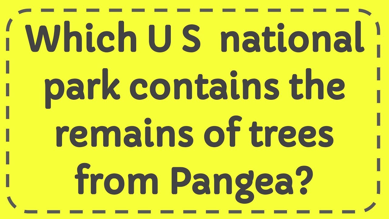 Which U S national park contains the remains of trees from Pangea ...