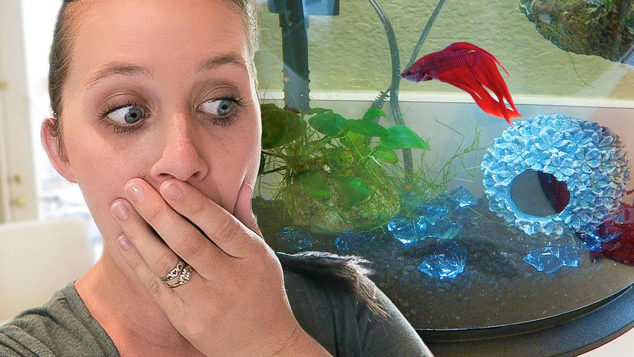 PLEASE BE OK! - YouTube