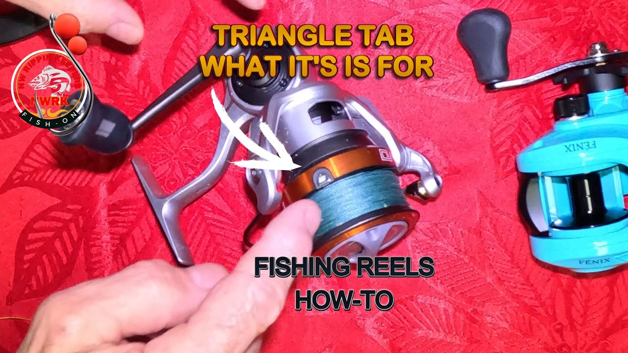 Fishing Reel triangle tab what it's for, Fishing for beginners How-to # ...