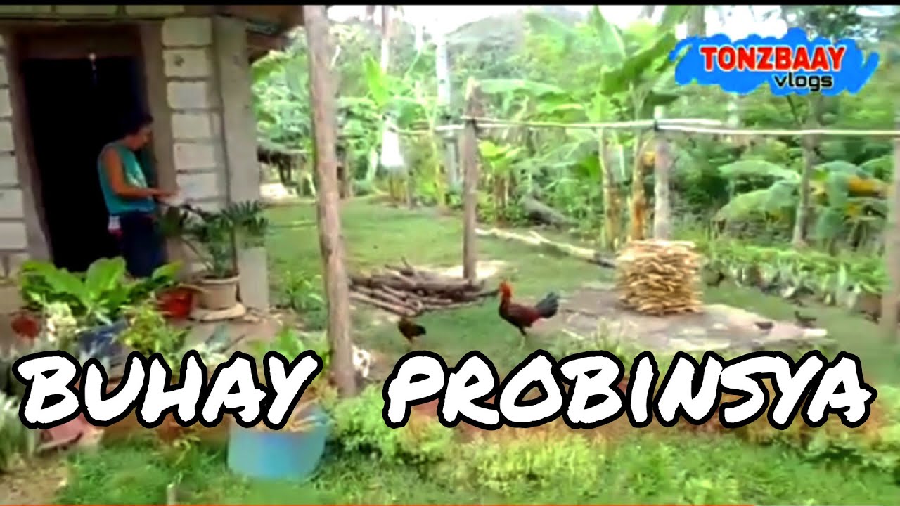 BUHAY PROBINSYA [ Province Lifestyle ]🌴. - YouTube