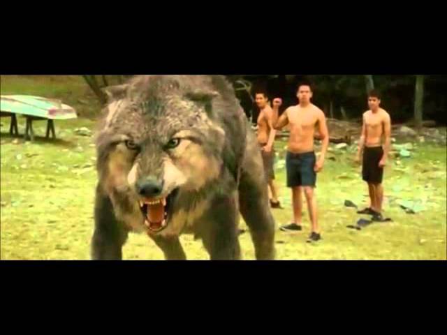 Jacob Lobo Ophelia Center Table Set By Boca Do Lobo | Do Shop