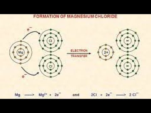 Formation of magnesium chloride ( Mgcl2 ) / Ionic compounds (Tamil ...