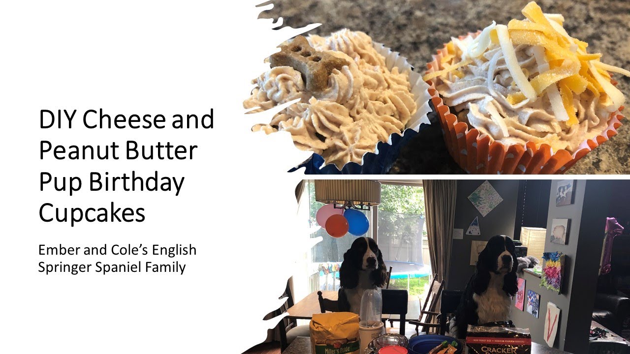 DIY Cheese and Peanut Butter Puppy Birthday Cupcakes | Ember and Cole ...