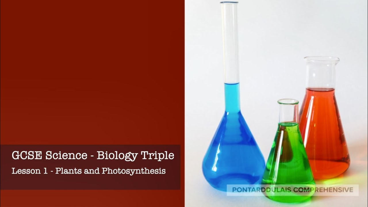 GCSE Science - Year 11 - Biology Triple - Lesson 1 Plants and ...