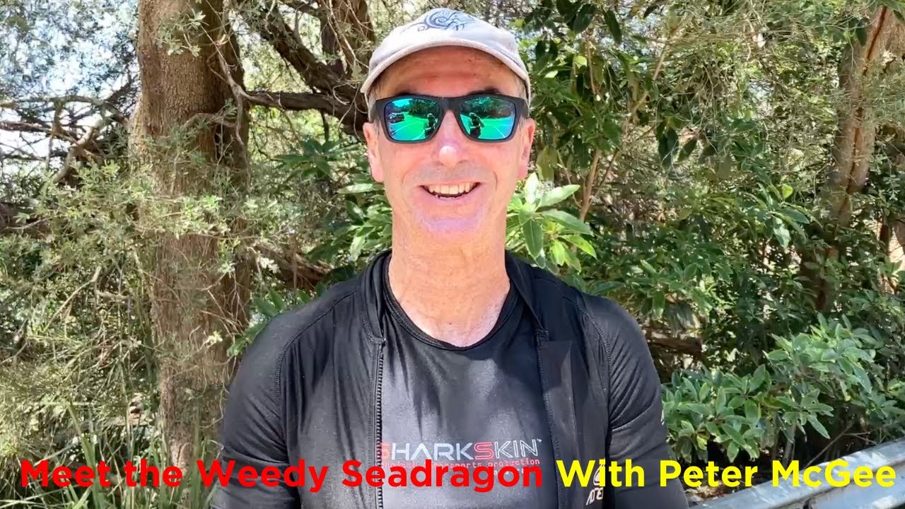 Meet the Weedy Seadragon with Peter McGee - YouTube