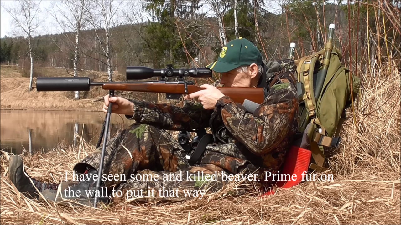 Beverjakt 2017/Beaver hunting/Biberjagt......teaser - YouTube
