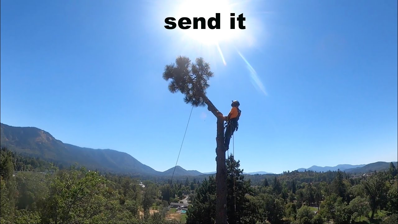 Tree Removal -Why use a Speed Line? - YouTube