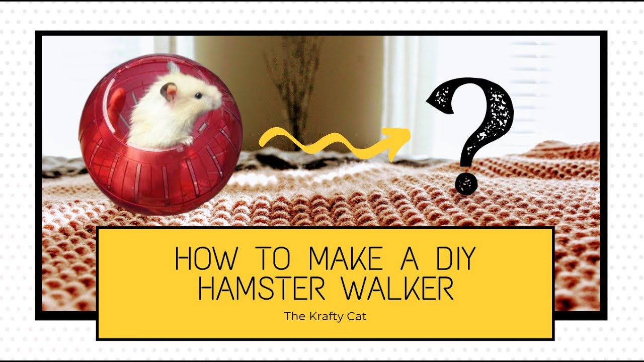 How To Make A DIY Hamster Walker (自製倉鼠步行器) - YouTube