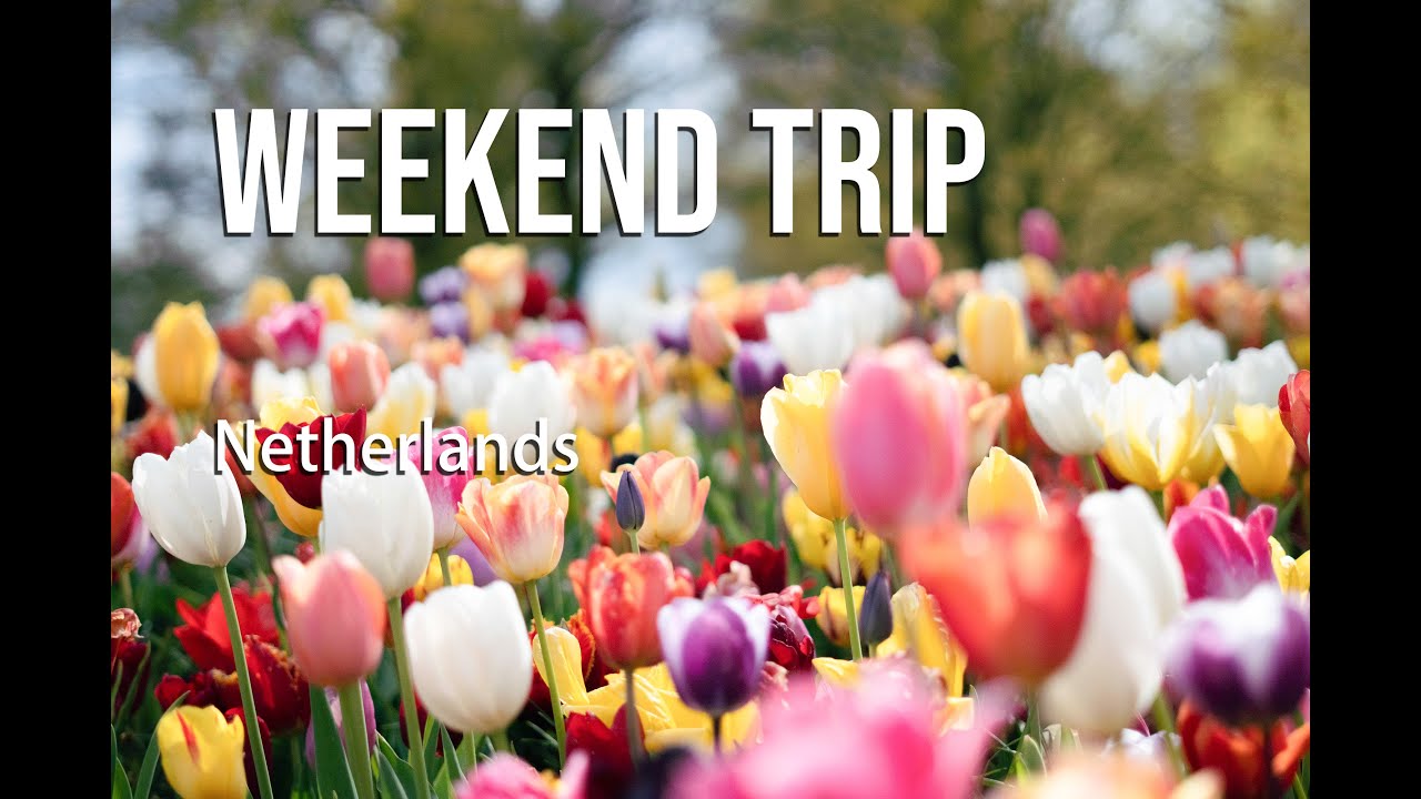 Weekend trip - Netherlands Tulip - YouTube