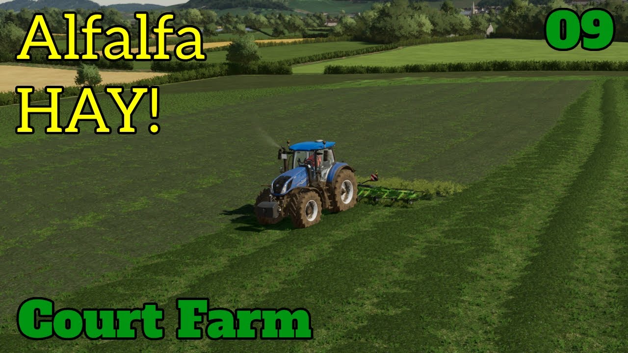 First time making ALFALFA HAY! - Court Farm Ep 9 - Farming Simulator 22 ...
