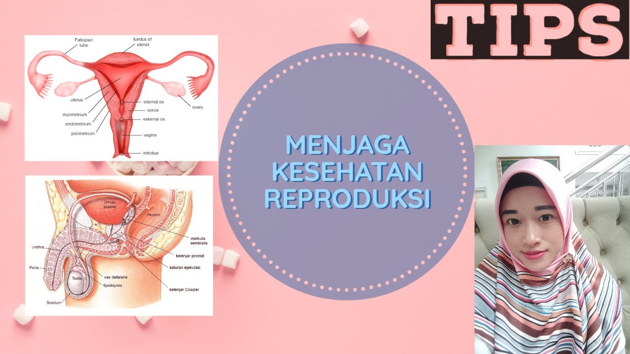 Tips Menjaga Kesehatan Reproduksi Youtube