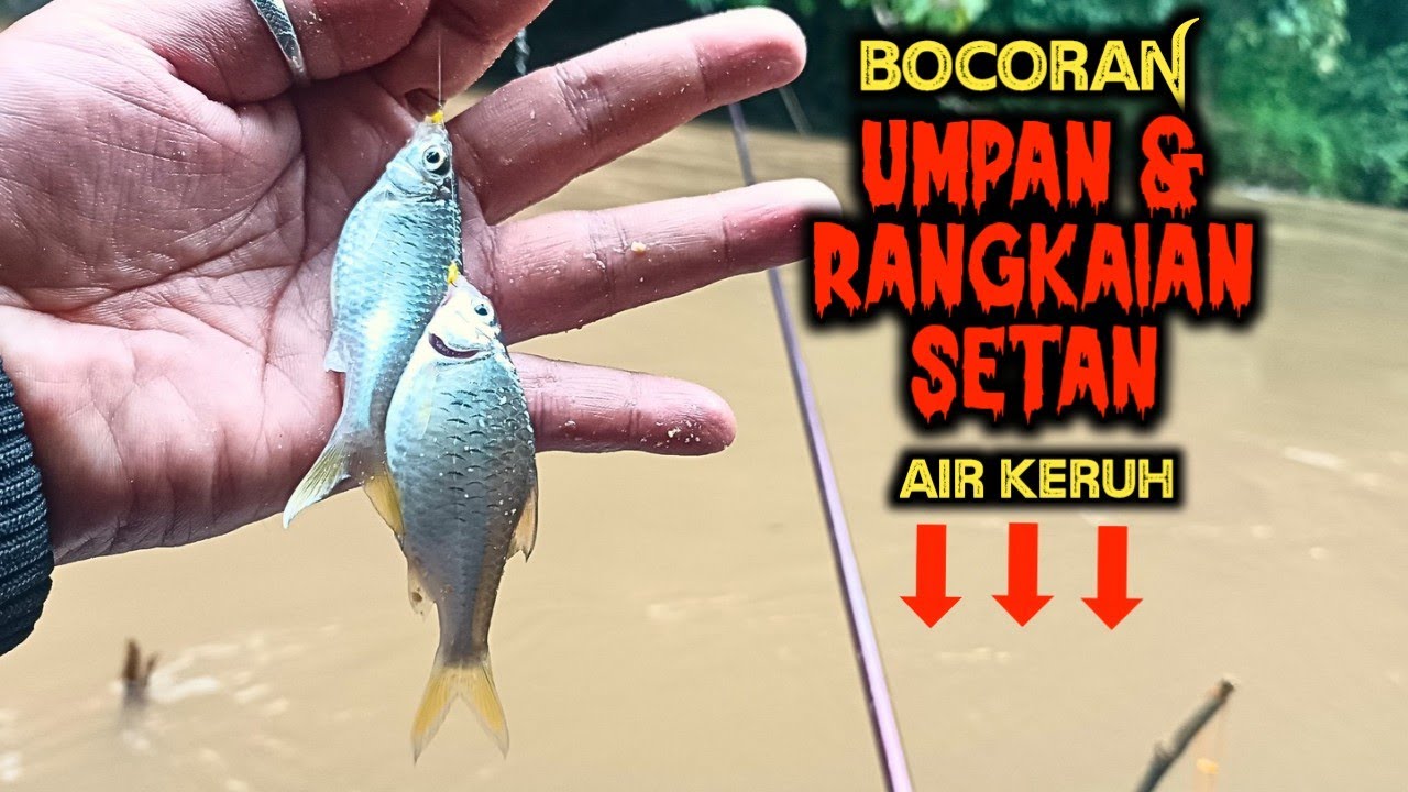 BOCORAN UMPAN & RANGKAIAN SANDAL SETAN MANCING WADER KEPEK SUNGAI KERUH ...