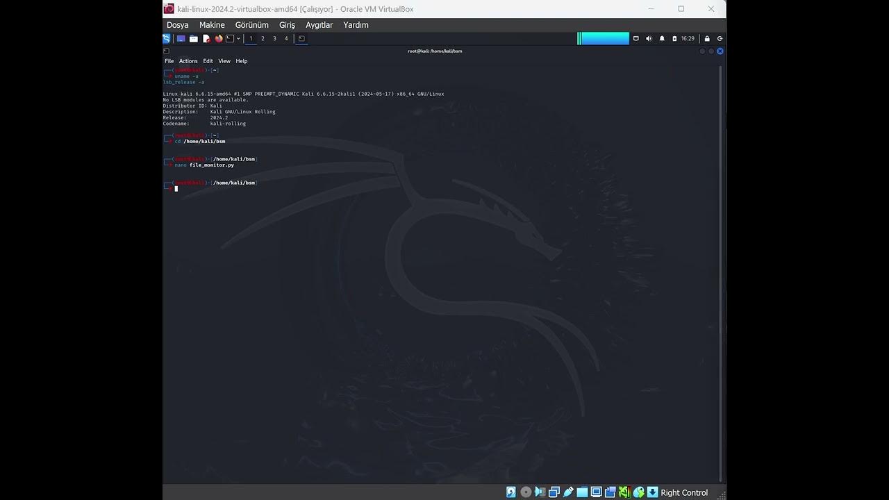 Linux Ortamında Python ile Dosya Değişikliklerini İzleme ve Loglama | Systemd Servis ...
