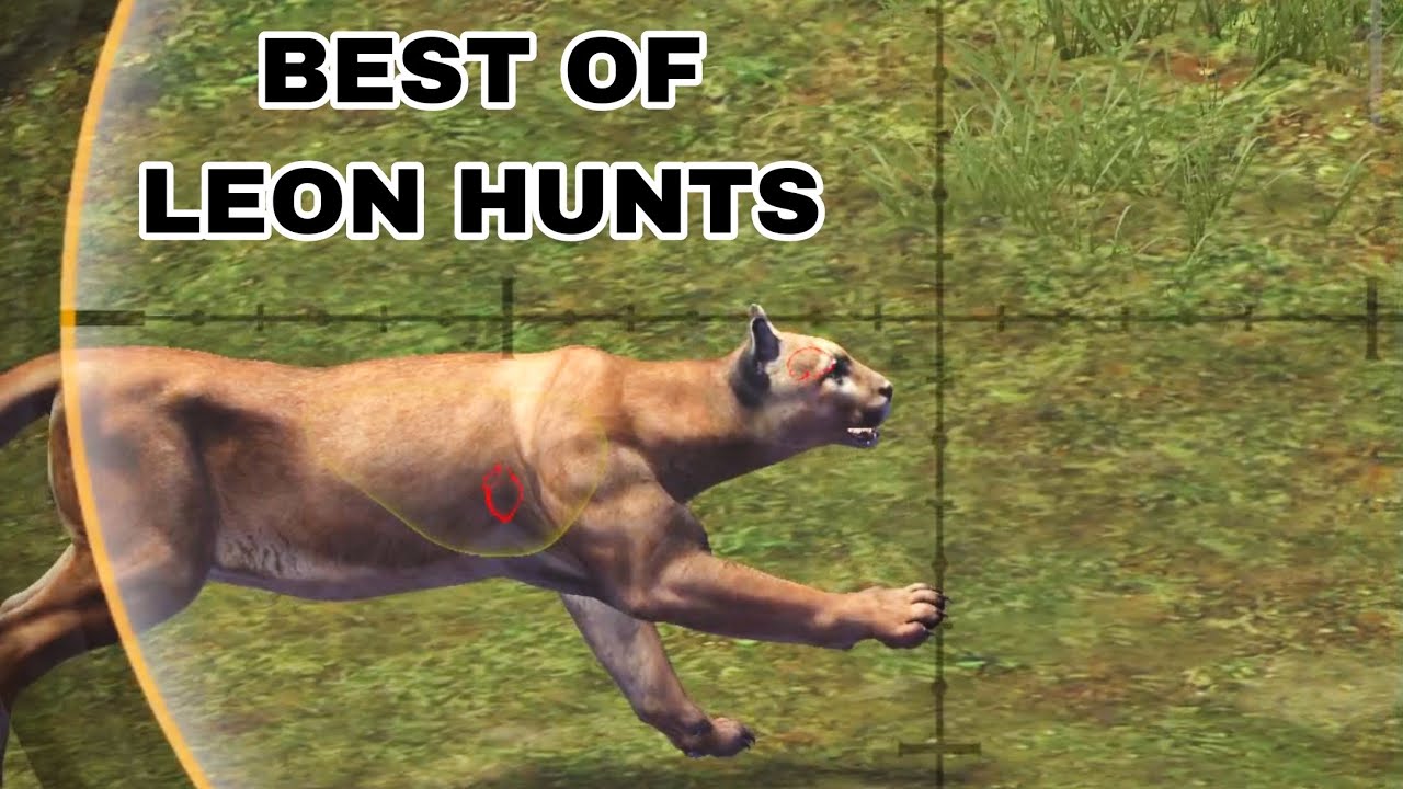 BEST HUNTING KILL SHOTS in 6 MINUTES || LEON HUNTS || Best Hunt of My ...