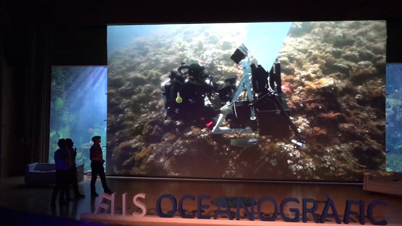 Andy Byatt y Roberto Rinaldi. FIIS 2017. Festival Internacional de ...