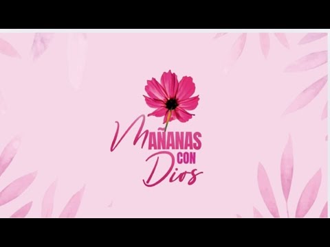 BIENAVENTURADOS LOS MANSOS/MAÑANAS CON DIOS/DEVOCIONAL/ORACIÓN POR PETICIONES - YouTube