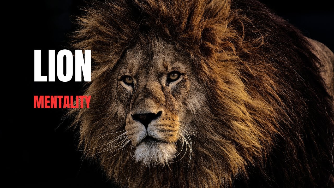 LION MENTALITY - Powerful Motivational Speech - YouTube
