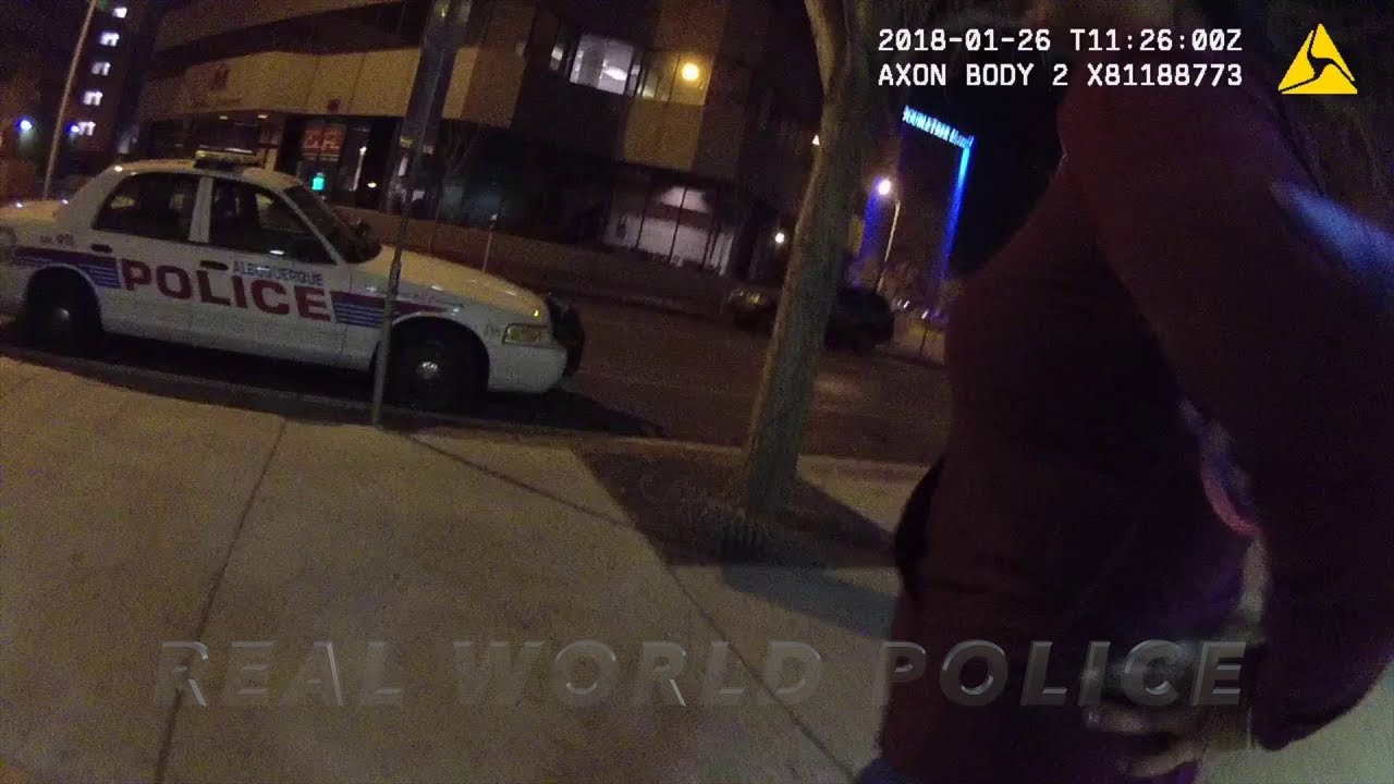 Real World Police: DWI & Five Counts of Felony Child Abuse (Preview ...