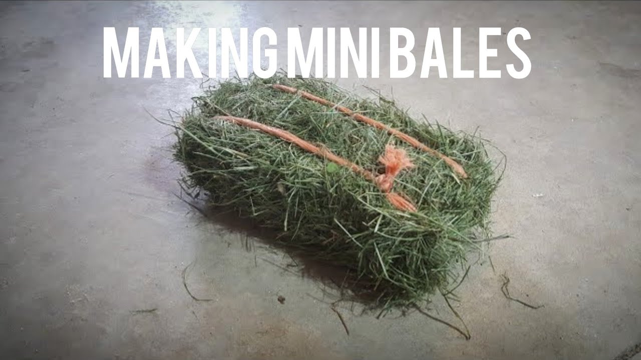 Making mini hay/straw bales - YouTube
