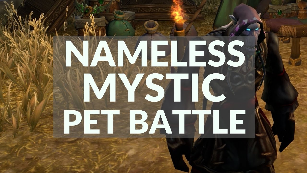 Nameless Mystic Pet Battle - Illidari Masters - New Broken Shore - YouTube
