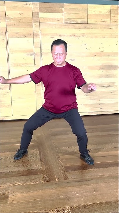 Why Train Slow in Tai Chi? Master Ren Guangyi 任广义 and Relaxed Power fājìn 發勁 - YouTube