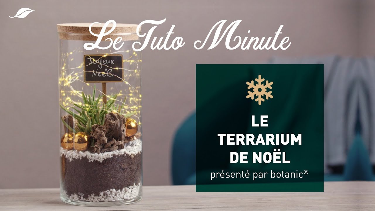 Le tuto minute : le terrarium de Noël - YouTube