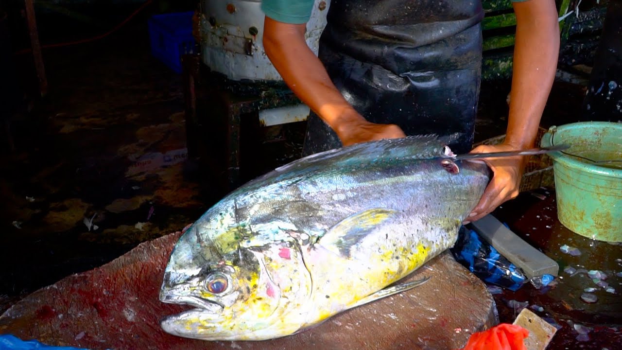 FISH CUTTING Like a PRO at 16 Years Old? This Kid's Got SKILLS ...