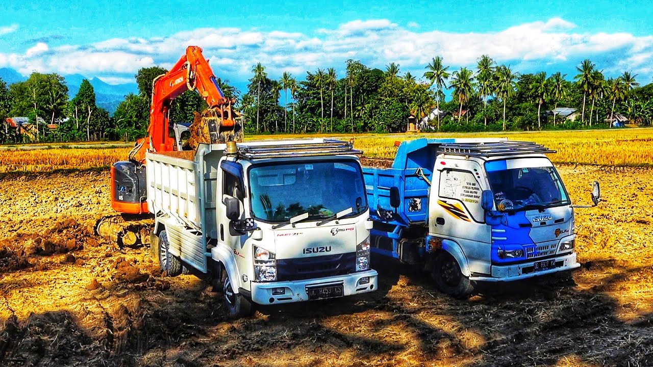mobil truk, dump truk, truk fuso angkut muatan tanah timbunan sawah ...