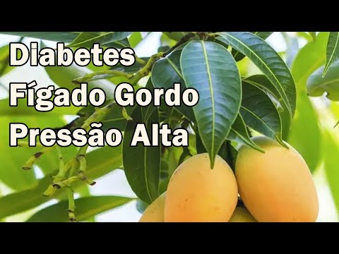 USE ESSA FOLHA PARA DIABETES, FÍGADO GORDO E PRESSÃO ALTA
