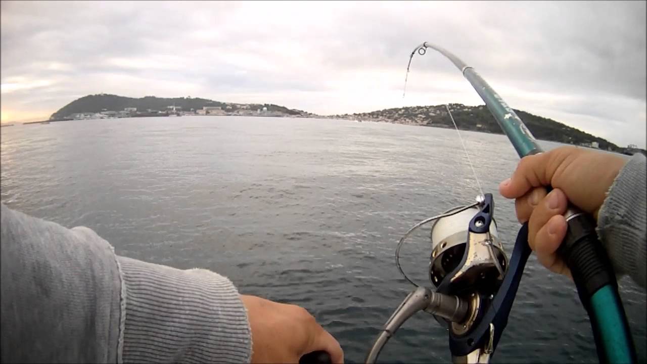 peche de pelamide - YouTube