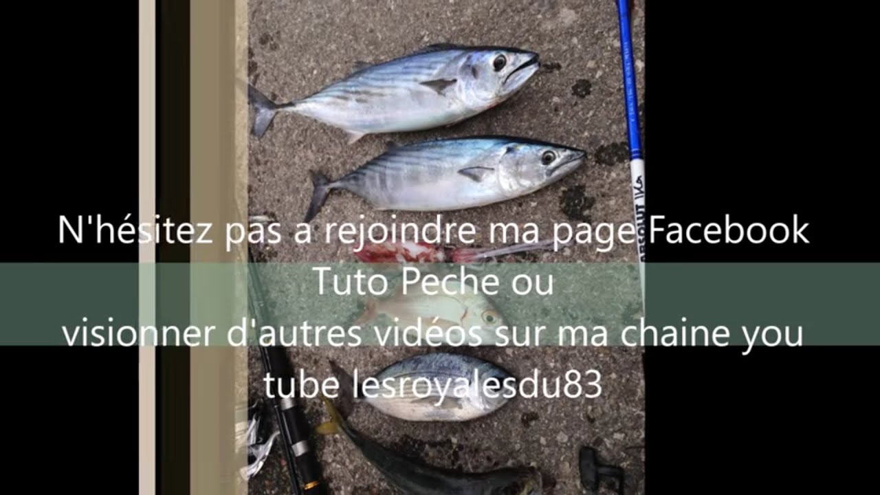 Tutopeche technique d animation du jig - YouTube