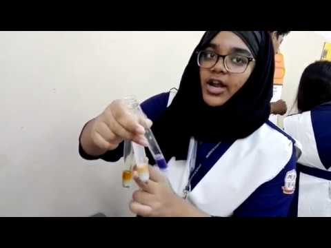 pH test for household things, Science Fair 2017 HURDCO Int School - YouTube