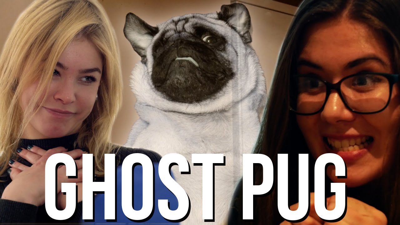 GHOST PUG- Halloween Short Film - YouTube