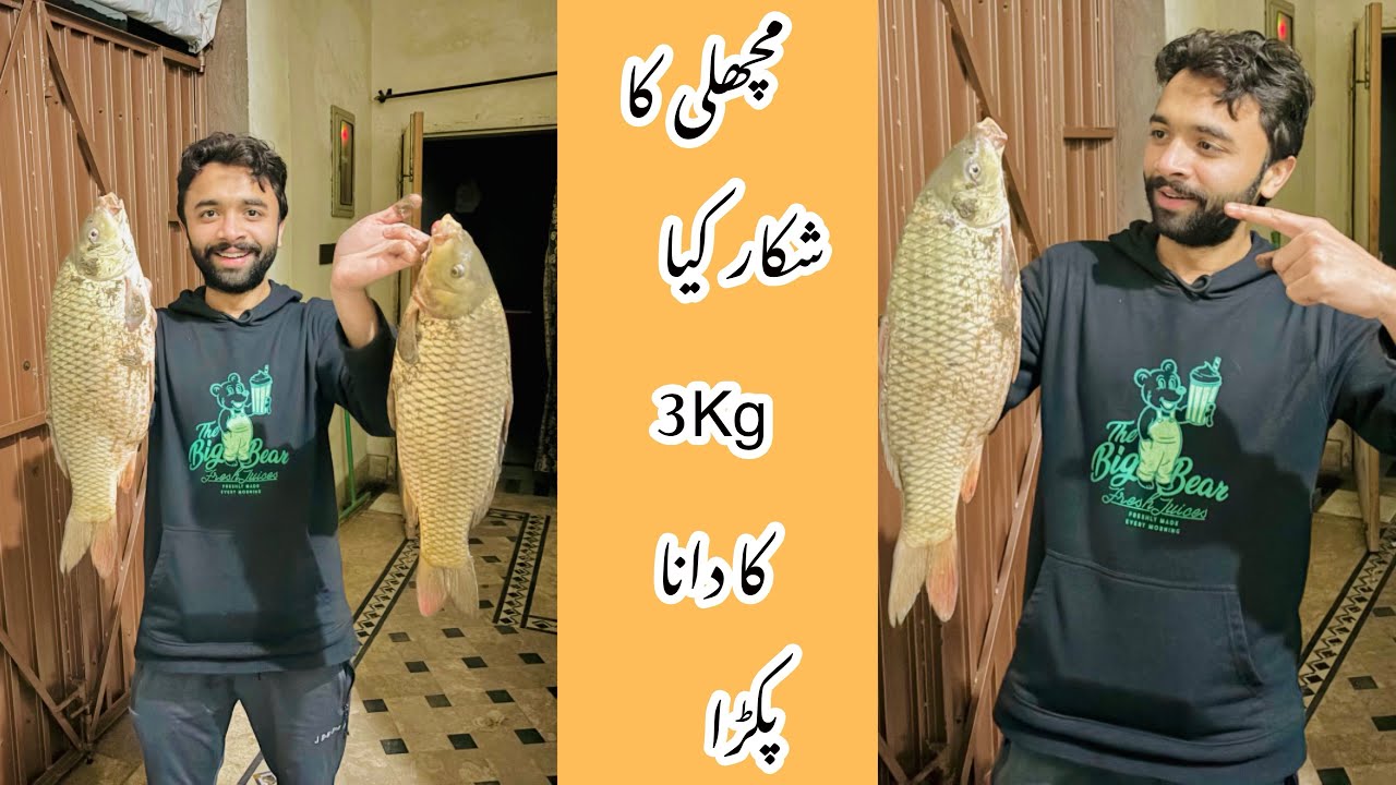 Machli Ka Shikar Kia🦈 | Fish Catching Skills | 3kg Ka Piece Pakra😱 ...