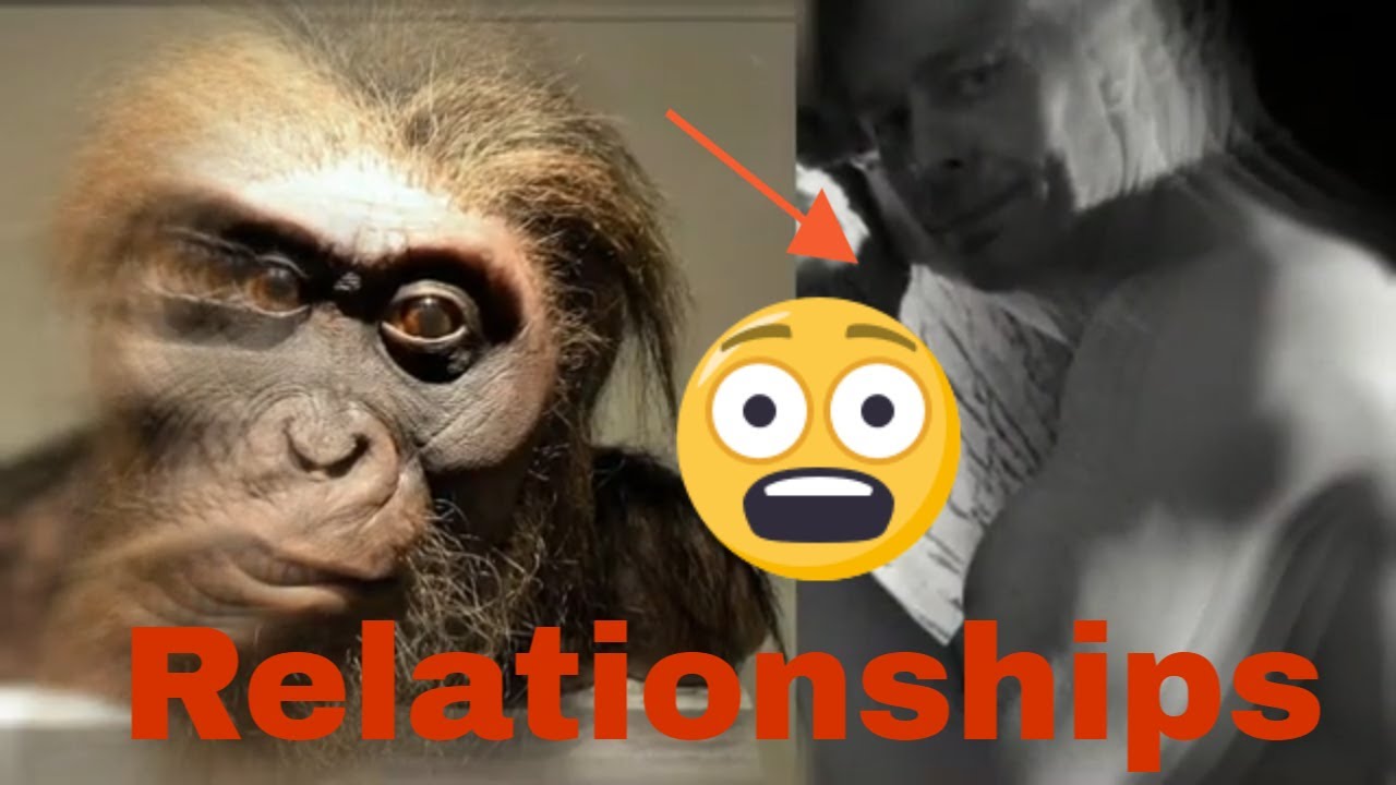 Adorable Ape Shares A Fascinating Relationship With Humans - YouTube