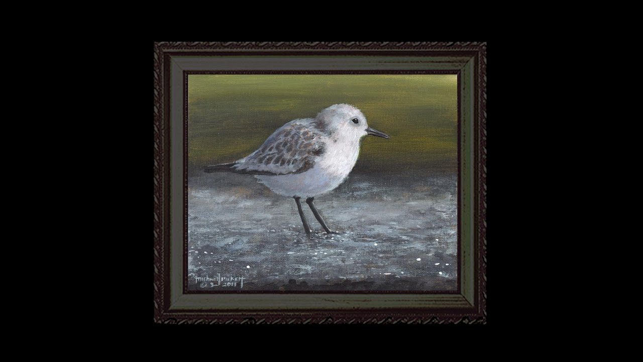 Sanderling Sandpiper Part 2 ( Learn How To Paint Animals In Acrylic ...
