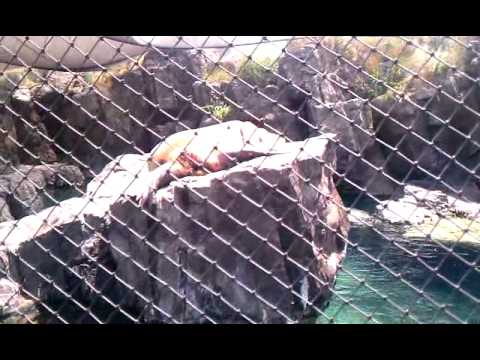 Tiffany y yo en coney island - YouTube