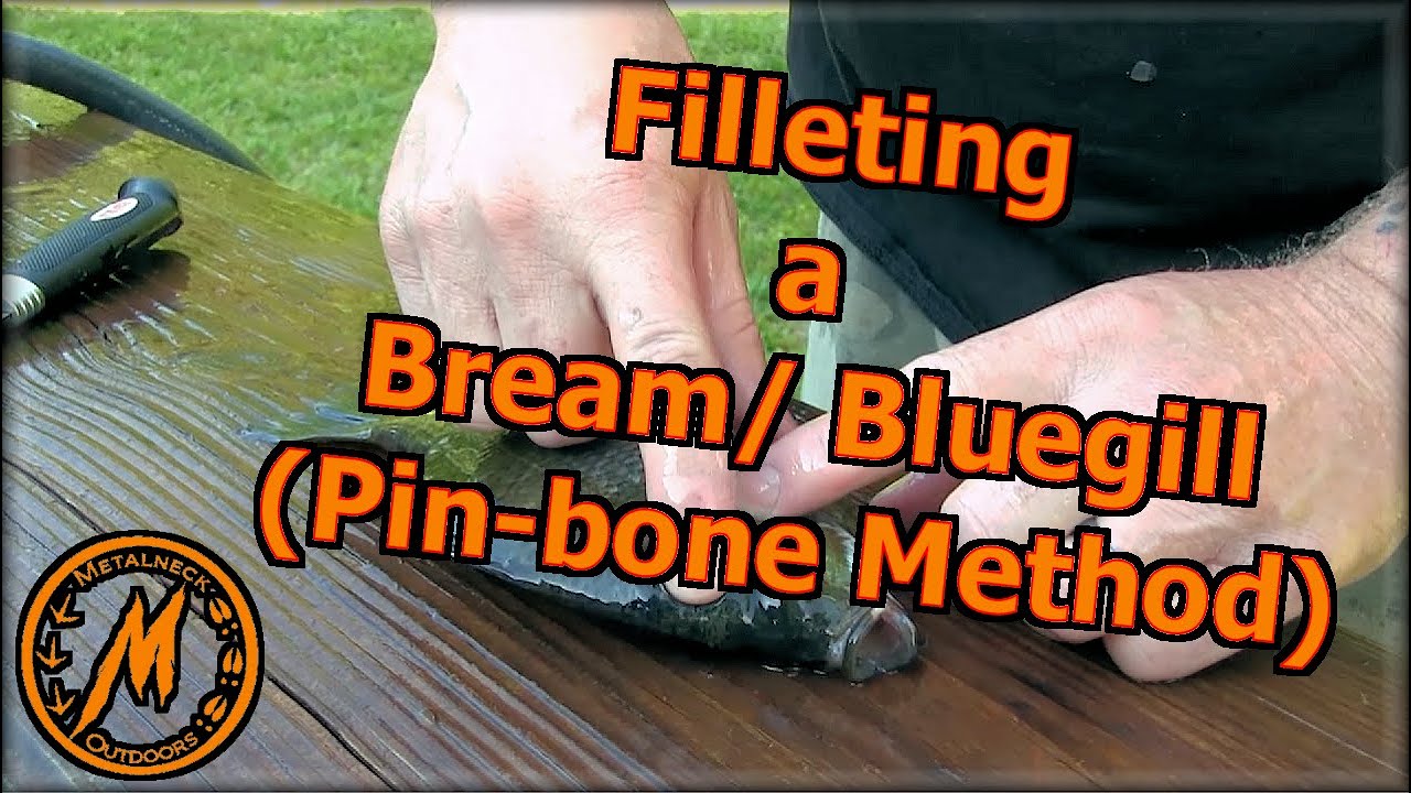 How to Fillet a Bluegill/ Bream using the Pin bone method - YouTube
