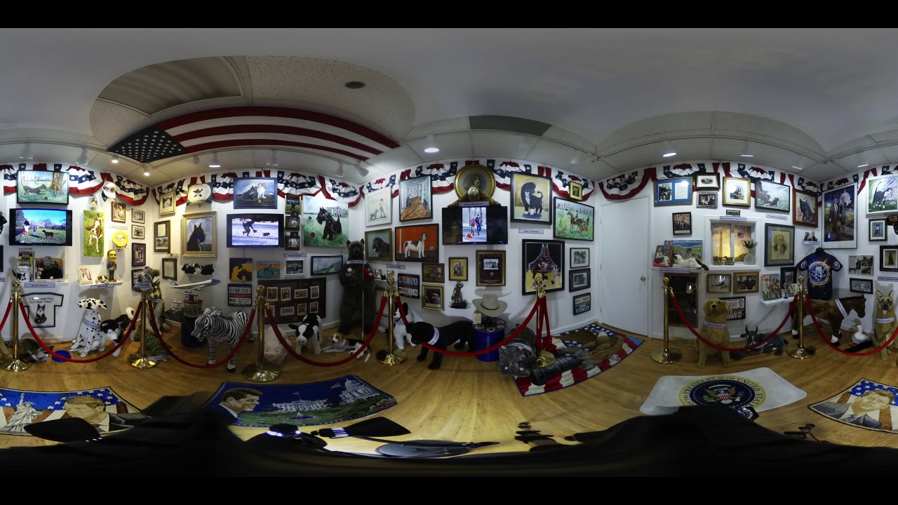 Presidential Pet Museum Live Stream in 360 - YouTube