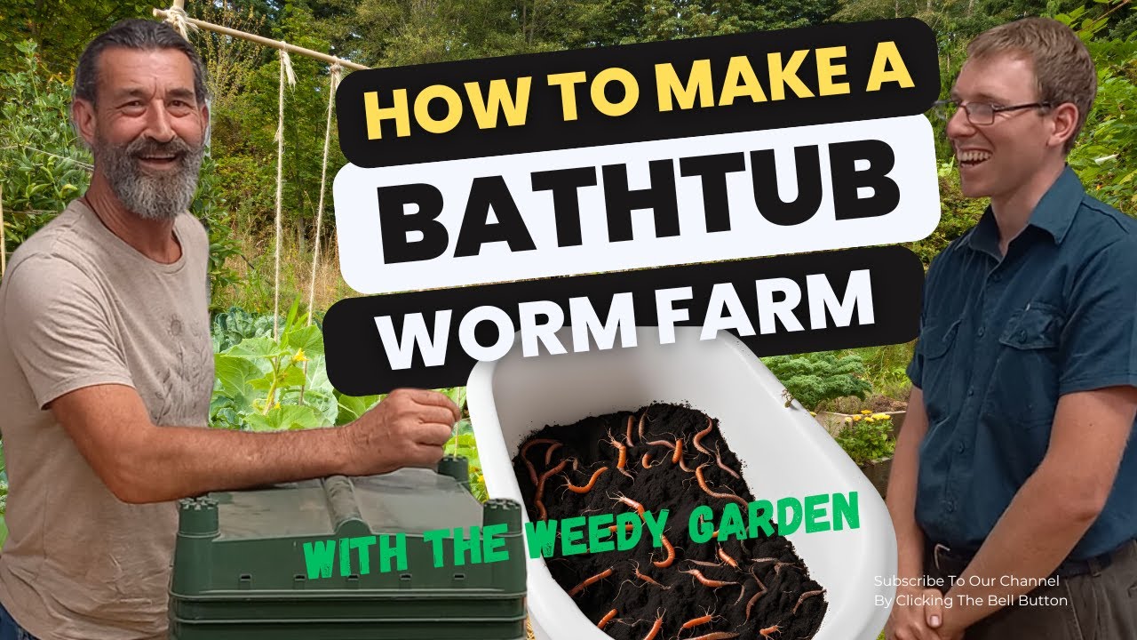 How to Create a Bathtub Worm Farm ft The Weedy Garden and The ...