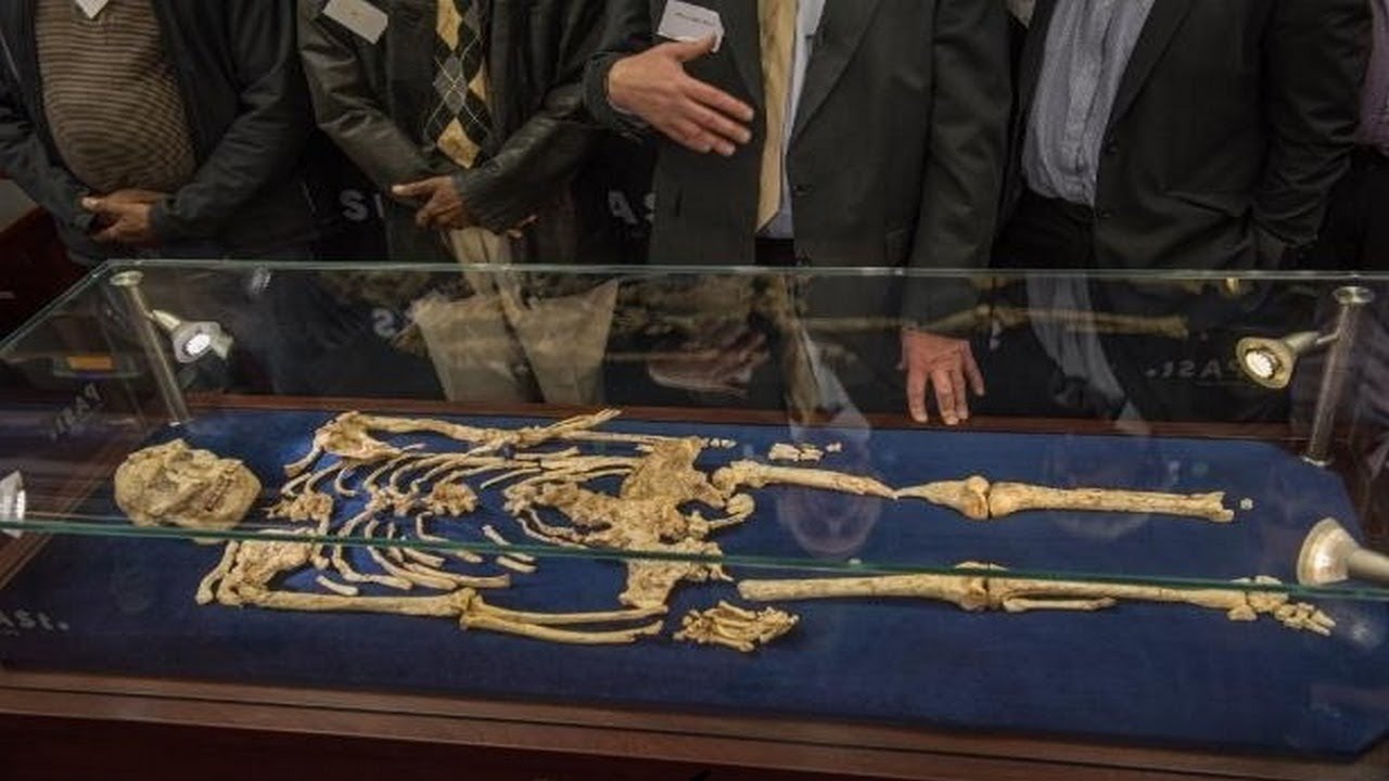 Fossil nicknamed Little Foot is the only complete Australopithecus ...
