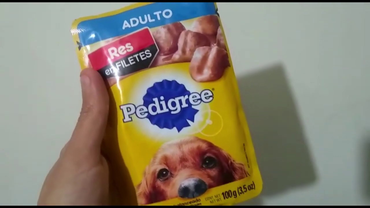 Sobresito De Pedigree La verdad - YouTube