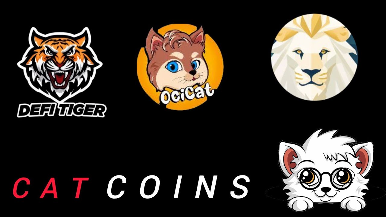BSC Cat Coins Explored: Wikicat, Ocicat Defi Tiger And More - YouTube