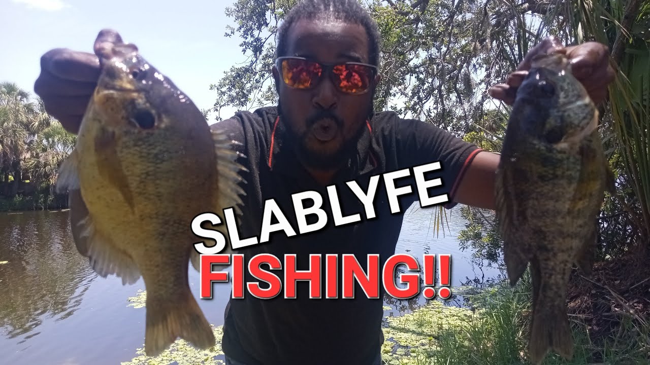 Catching Huge Bluegill and Shellcracker in Heron Creek Northport F.L ...